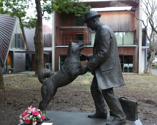 Hachiko se reencuentra con su dueño en la Universidad de Tokio