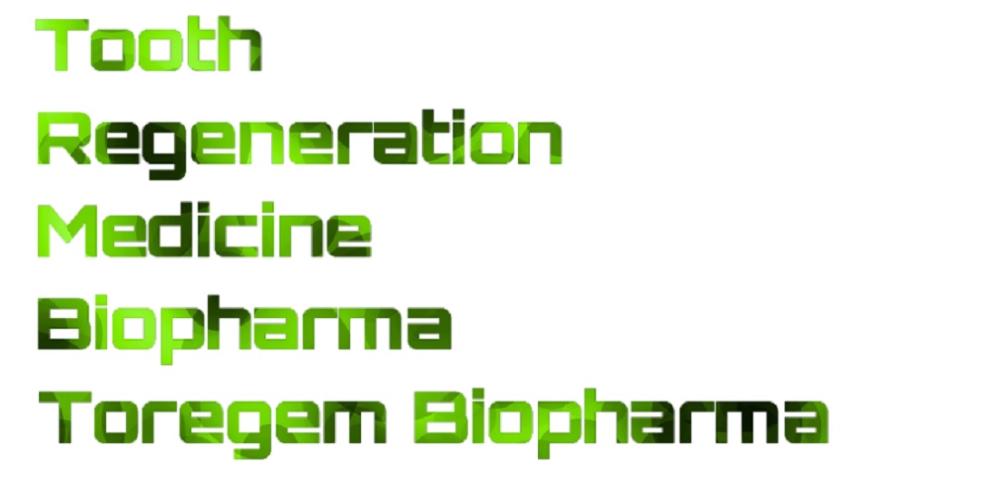 Compañía japonesa crea medicamento que hace crecer dientes nuevos