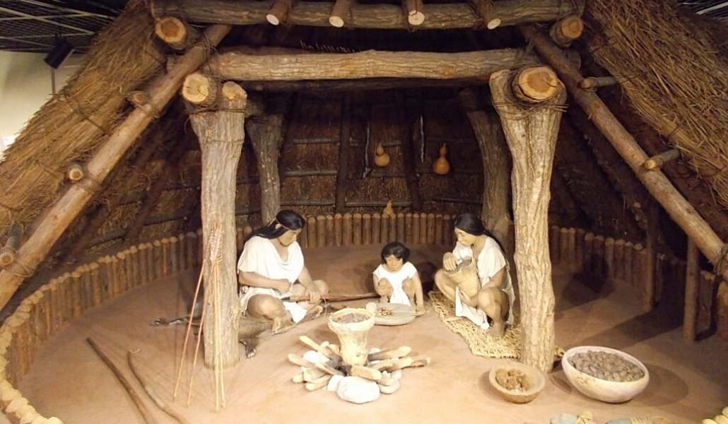 Nuevo estudio de RIKEN descubre el tercer linaje del origen de los japoneses - International ...