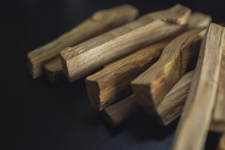 Palo Santo de Perú llega a Japón impulsado por su demanda aromática y ...